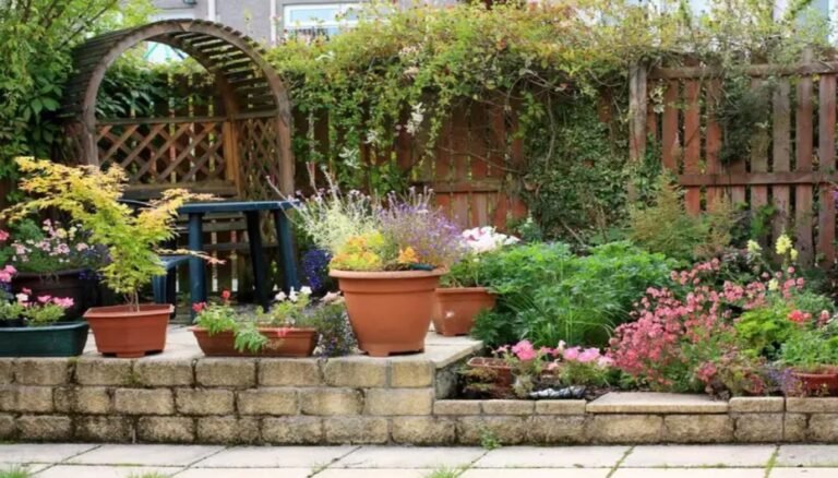 27 Easy Backyard Landscaping Ideas On A Budget in 2024