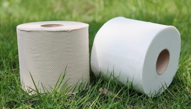 What Are The Dimensions Of a Toilet Paper Roll? - Full Guide