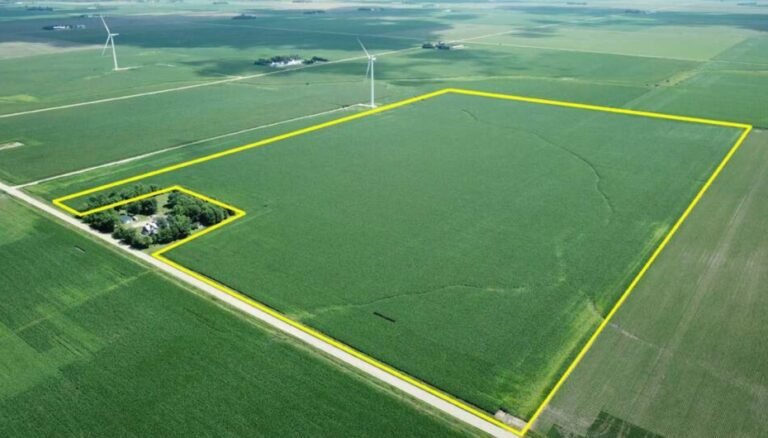 How Many Square Feet In An Acre? Convert Square Feet To Acre