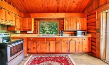 Willie Nelson House Address - Explore His Home Details 2025